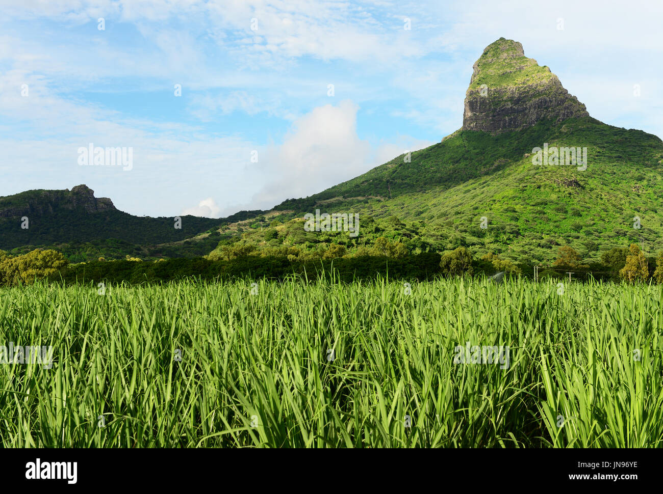 Mauritius and Reunion Stock Photo - Alamy