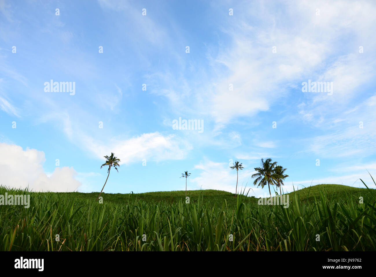 Mauritius and Reunion Stock Photo - Alamy