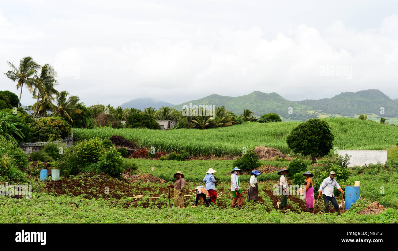 Mauritius and Reunion Stock Photo - Alamy