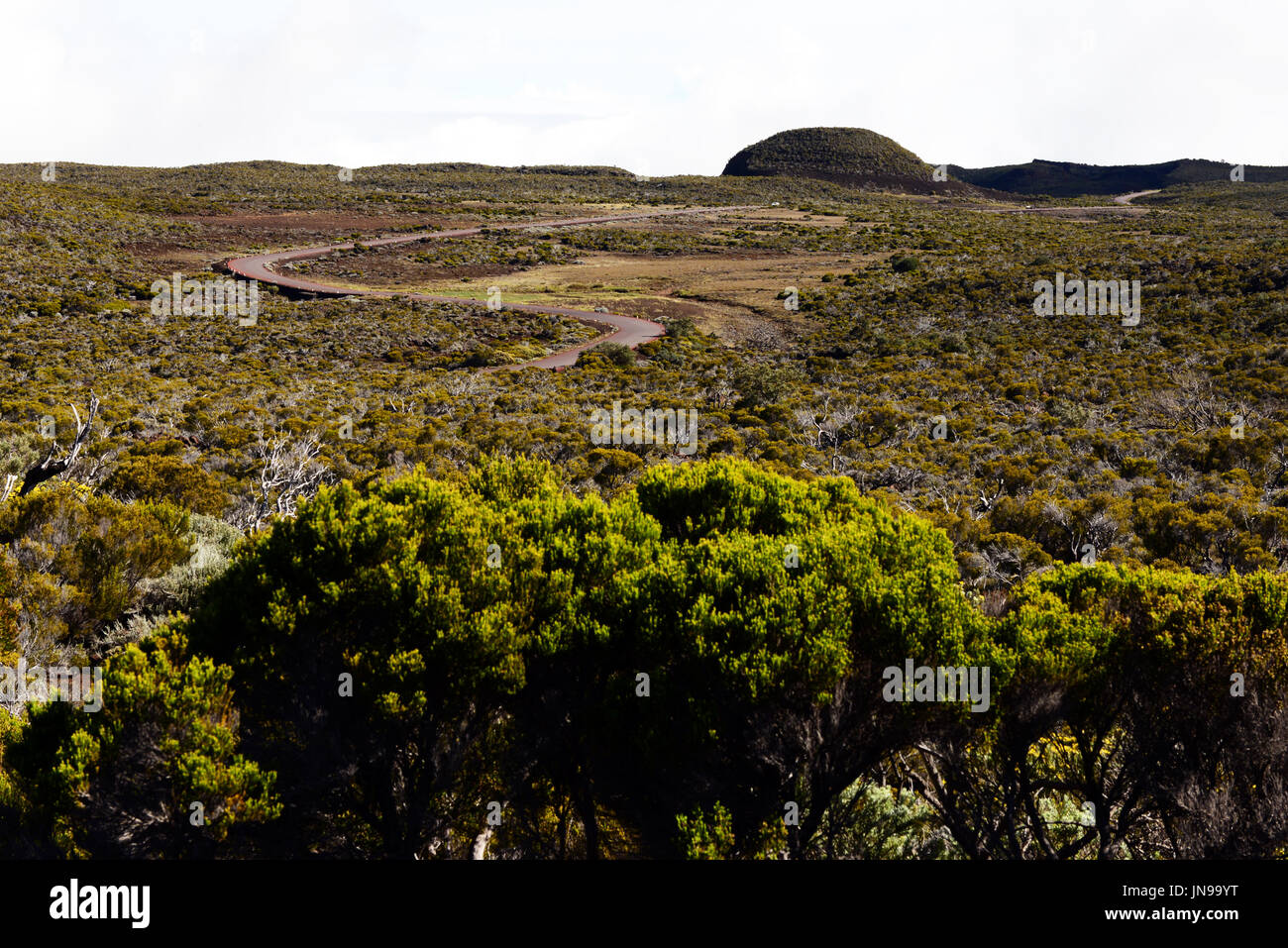 Mauritius and Reunion Stock Photo - Alamy