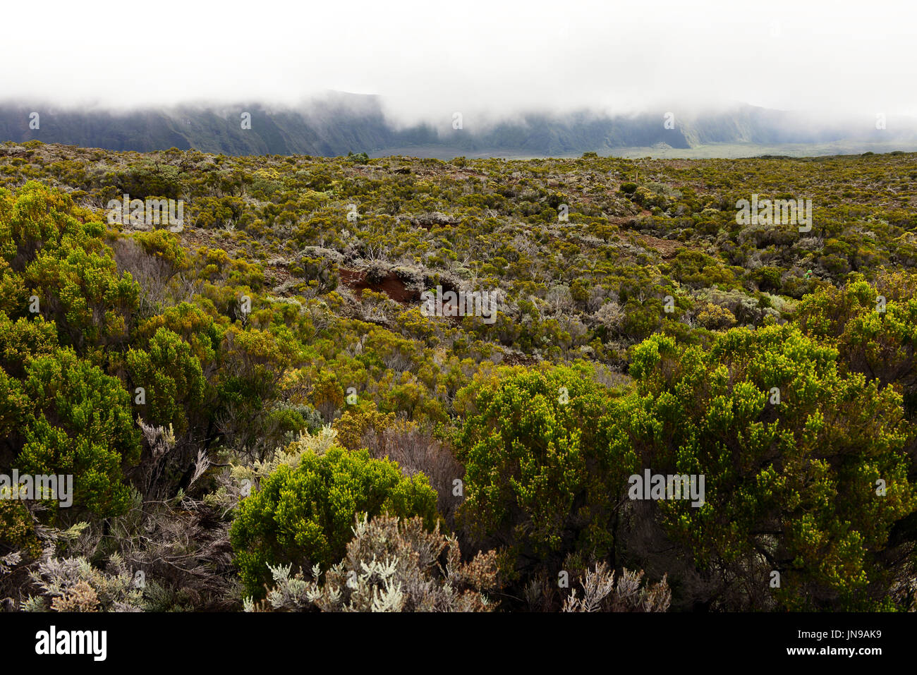 Mauritius and Reunion Stock Photo - Alamy