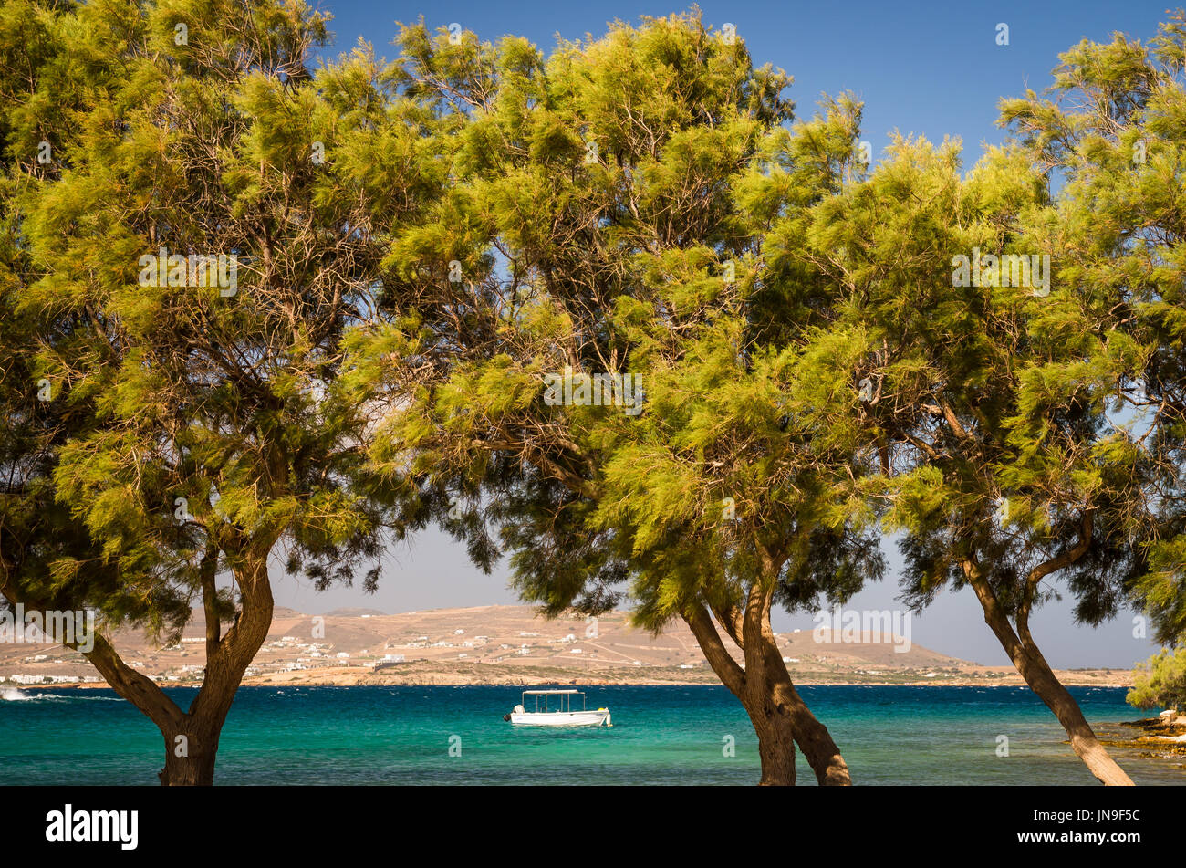 Agia Irini beach, Paros island, Greece. Beautiful Greek beach with ...