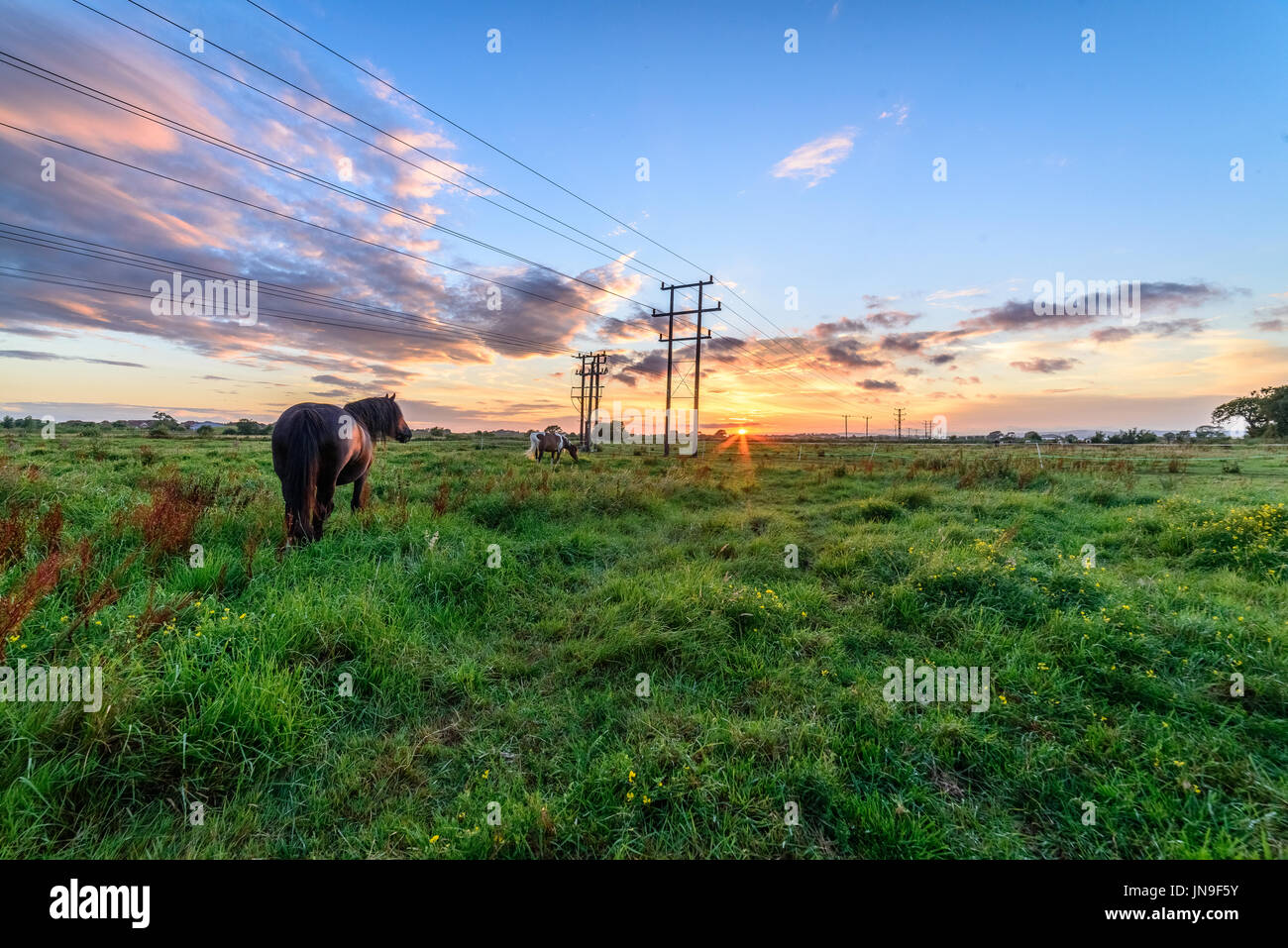The last remaining light of the day shines out above the horizon, while ...