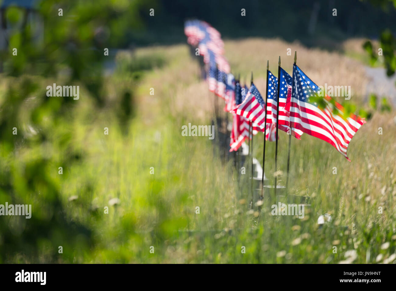 Long Row of American Flags Blowing in Wind on Fence Stock Photo - Alamy