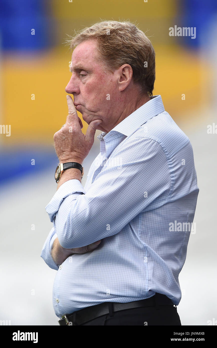 Birmingham City manager Harry Redknapp during the pre-season match at ...
