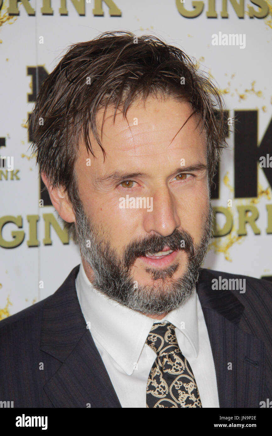 David Arquette 10/11/2012 Mr. Pink Ginseng Drink Launch Party held at ...