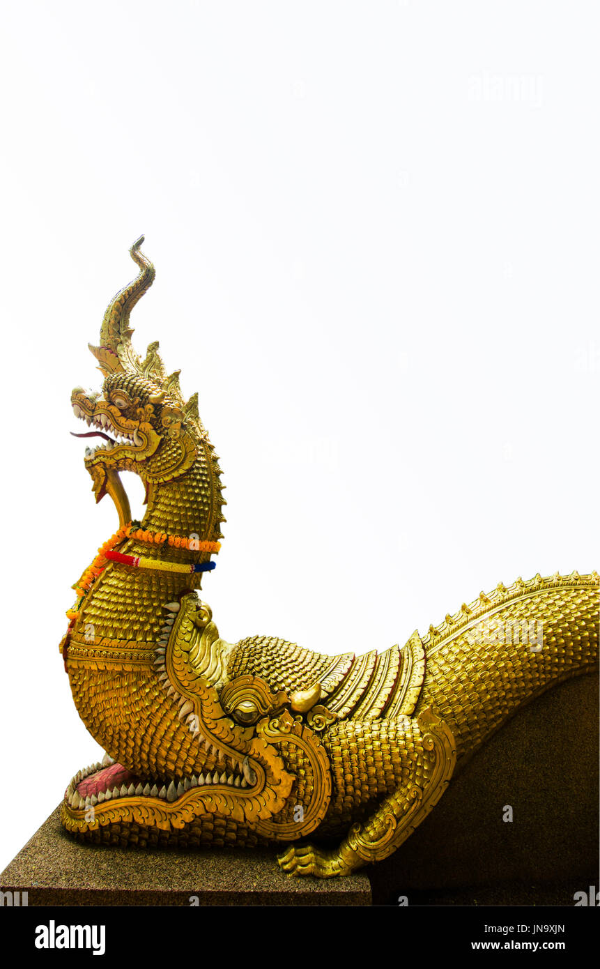 Golden serpent king or king of naga statue in Thai temple on white ...
