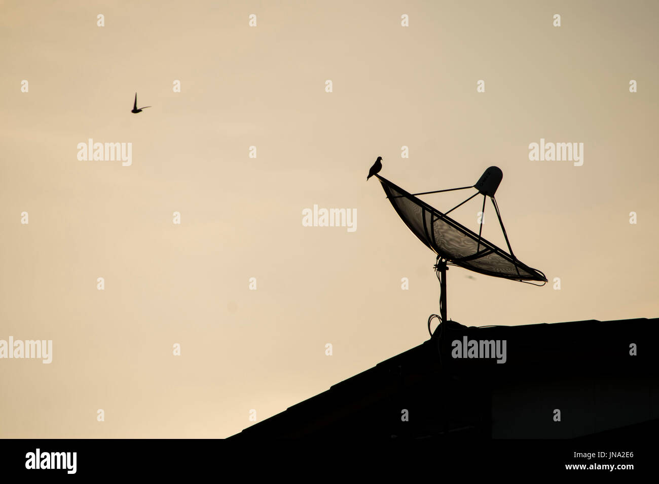 Early bird satellite hi-res stock photography and images - Alamy