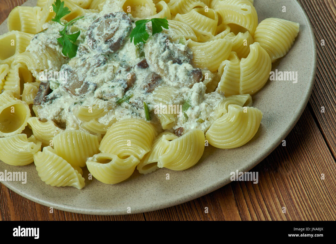 Italian pasta gomiti with mushroom sauce.close iup Stock Photo - Alamy