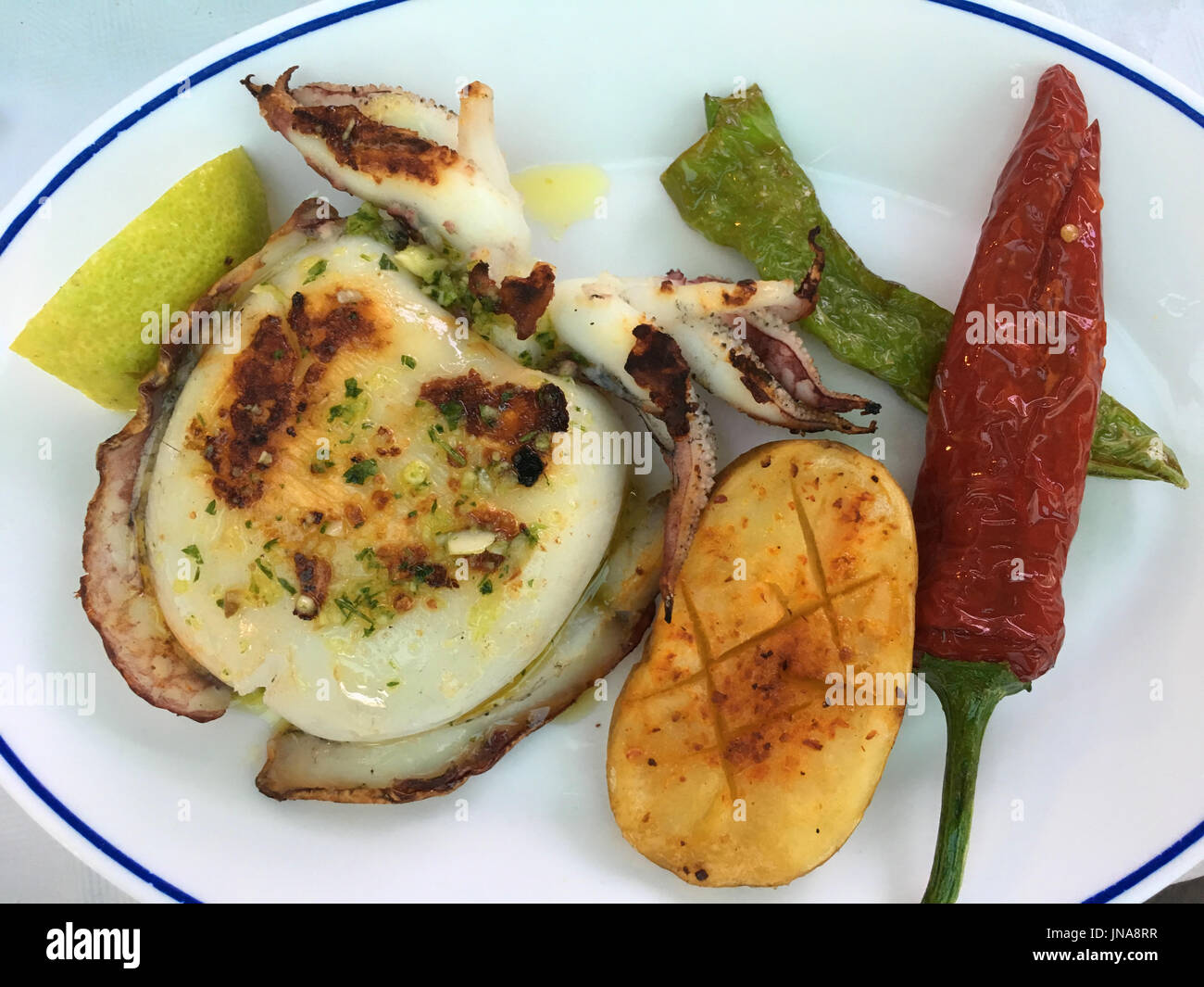 Sepia a la plancha, Grilled cuttlefish, a typical Spanish dish served ...