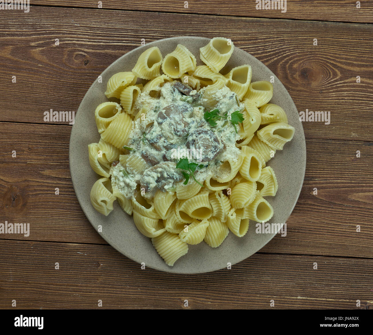 Italian pasta gomiti with mushroom sauce.close iup Stock Photo - Alamy