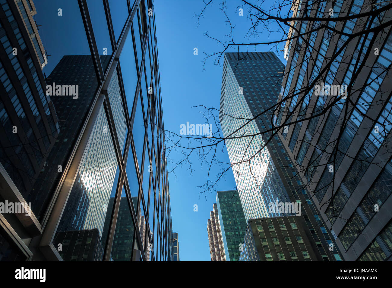 View of the New York high rises from the lower angle, New York City ...