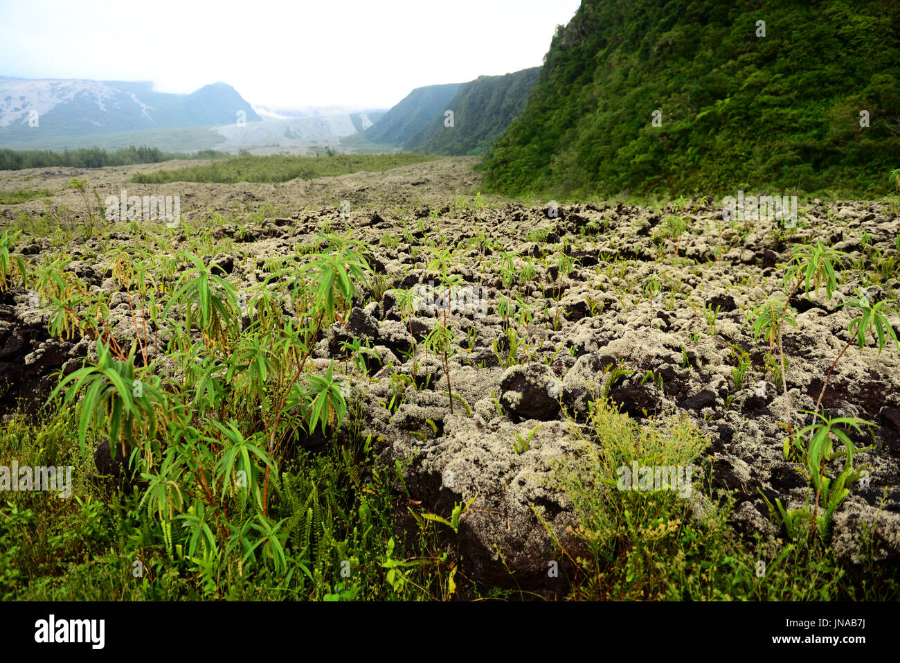 Mauritius and Reunion Stock Photo - Alamy