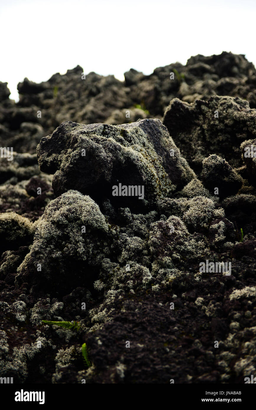 Mauritius and Reunion Stock Photo - Alamy
