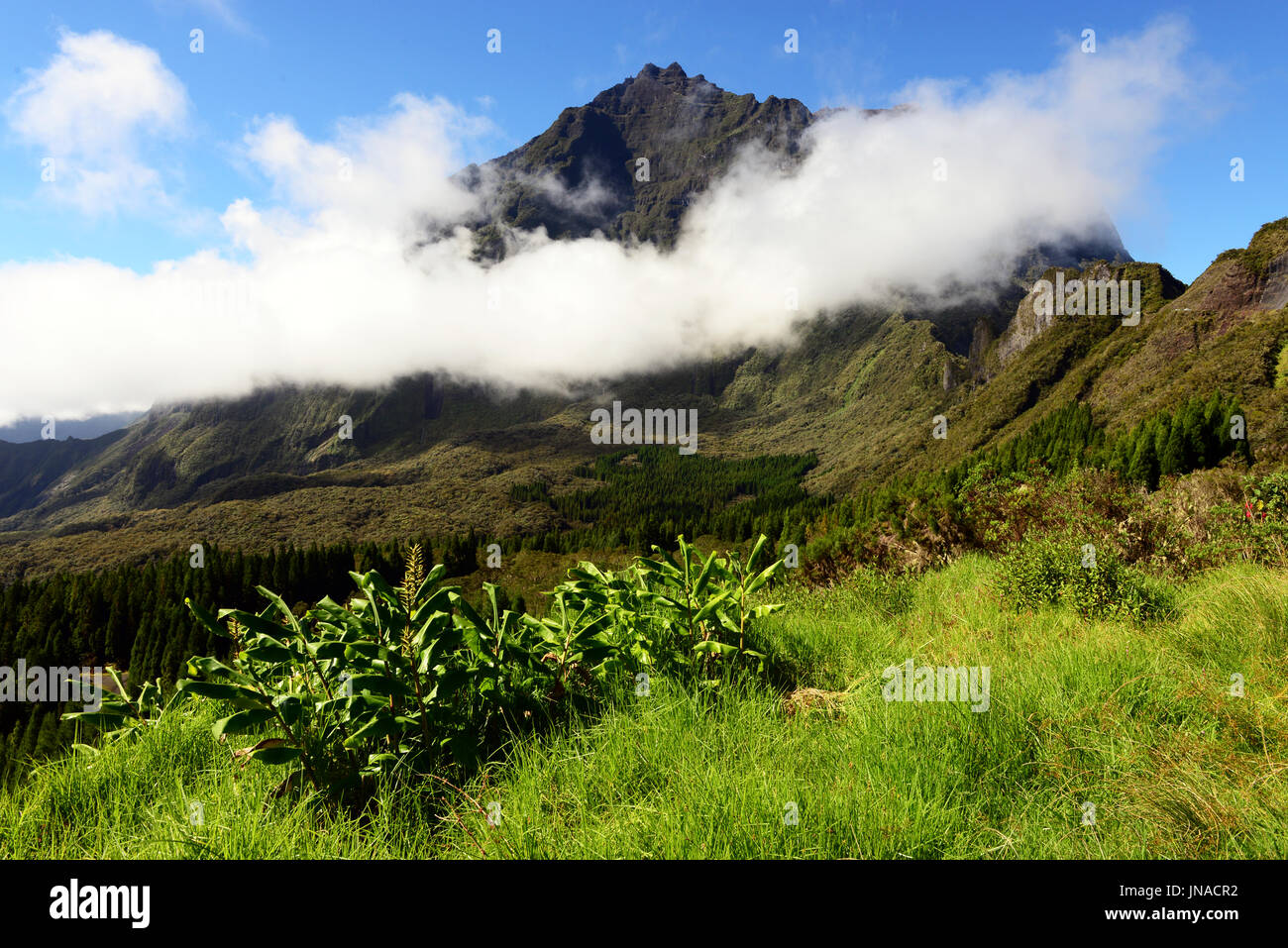 Mauritius and Reunion Stock Photo - Alamy