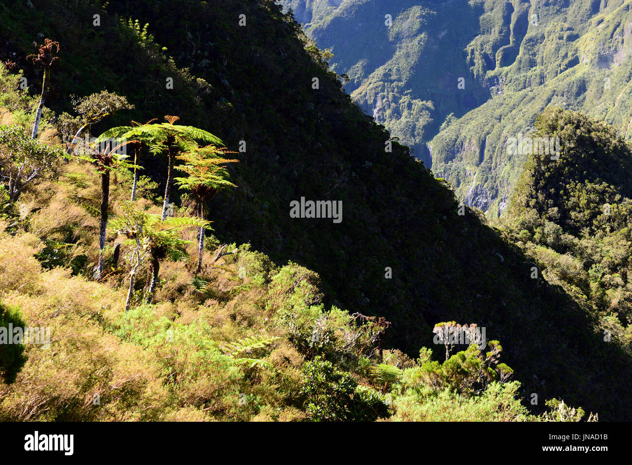 Mauritius and Reunion Stock Photo - Alamy