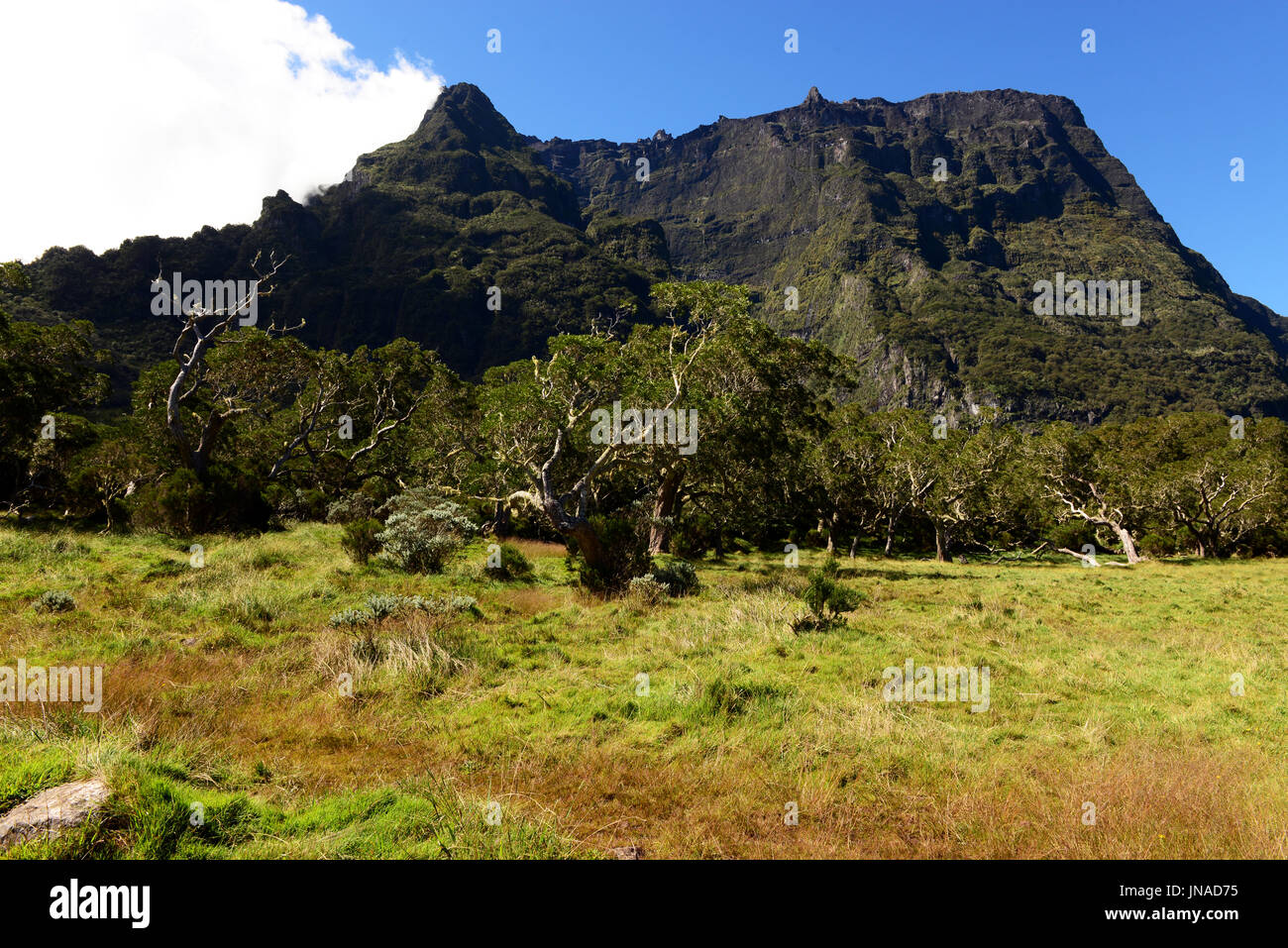 Mauritius and Reunion Stock Photo - Alamy