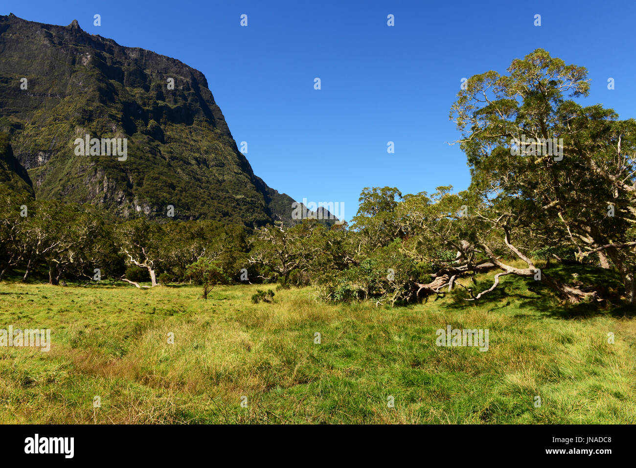 Mauritius and Reunion Stock Photo - Alamy