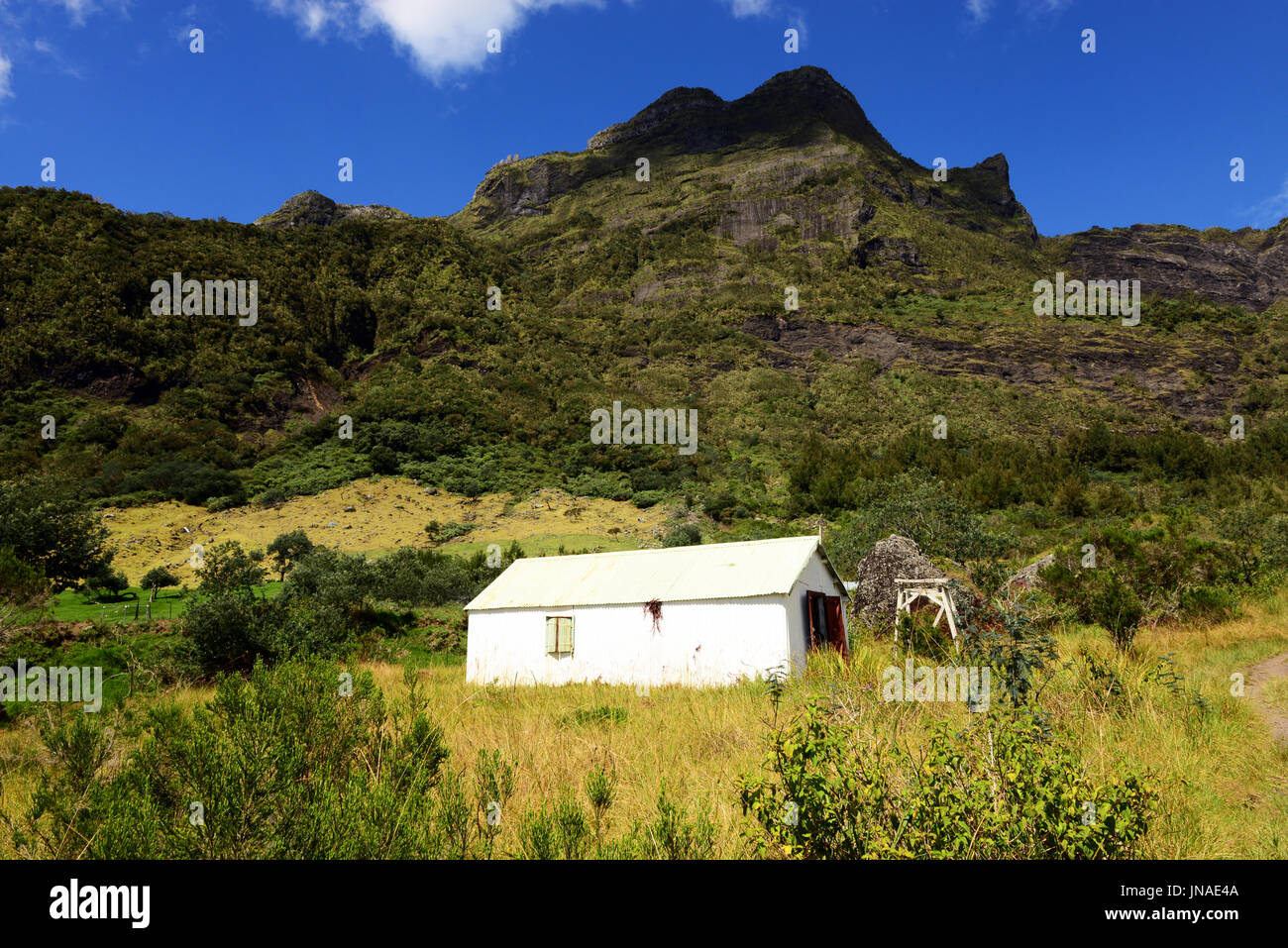 Mauritius and Reunion Stock Photo - Alamy