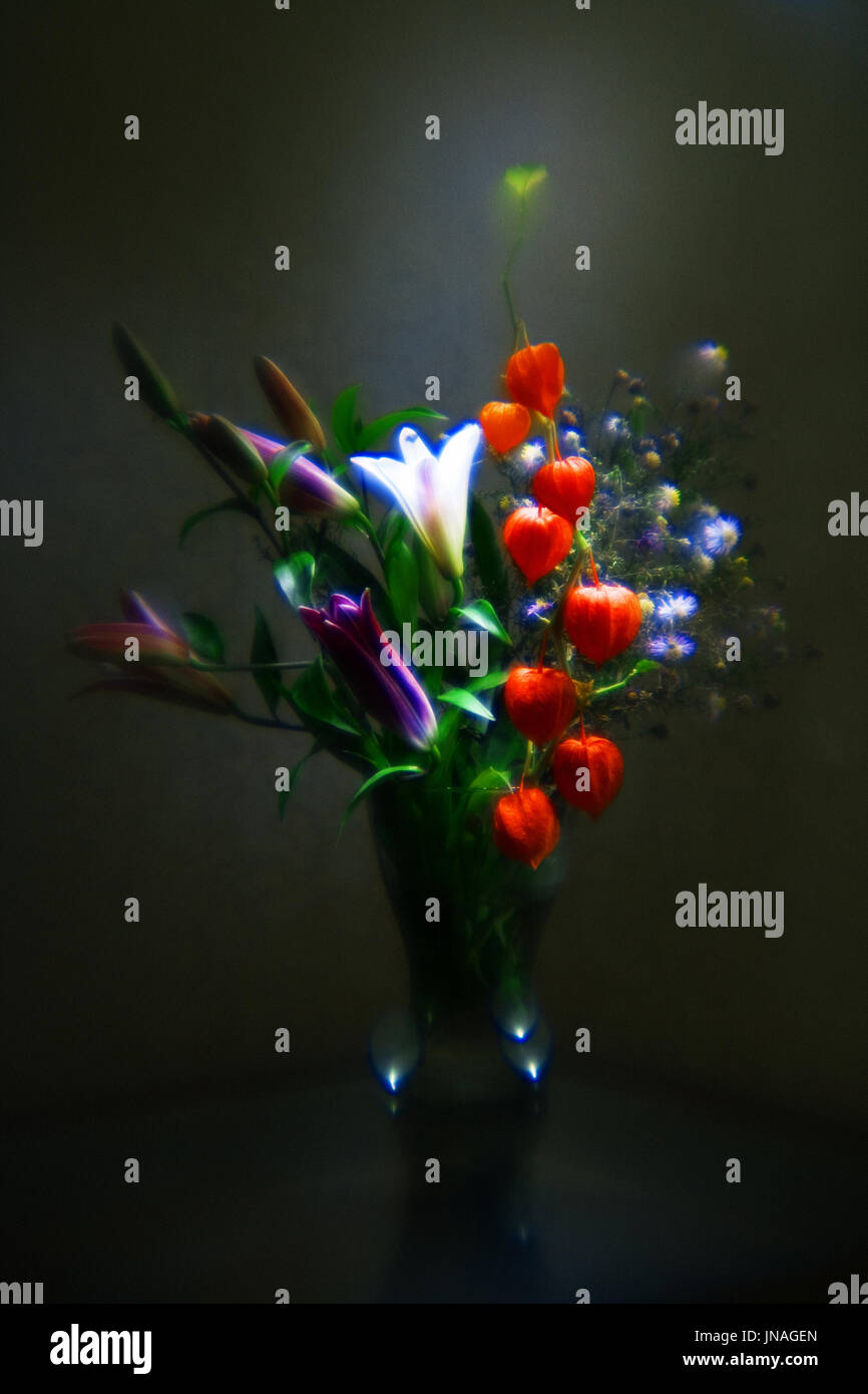 Soft still life in the dark. Glow Stock Photo - Alamy