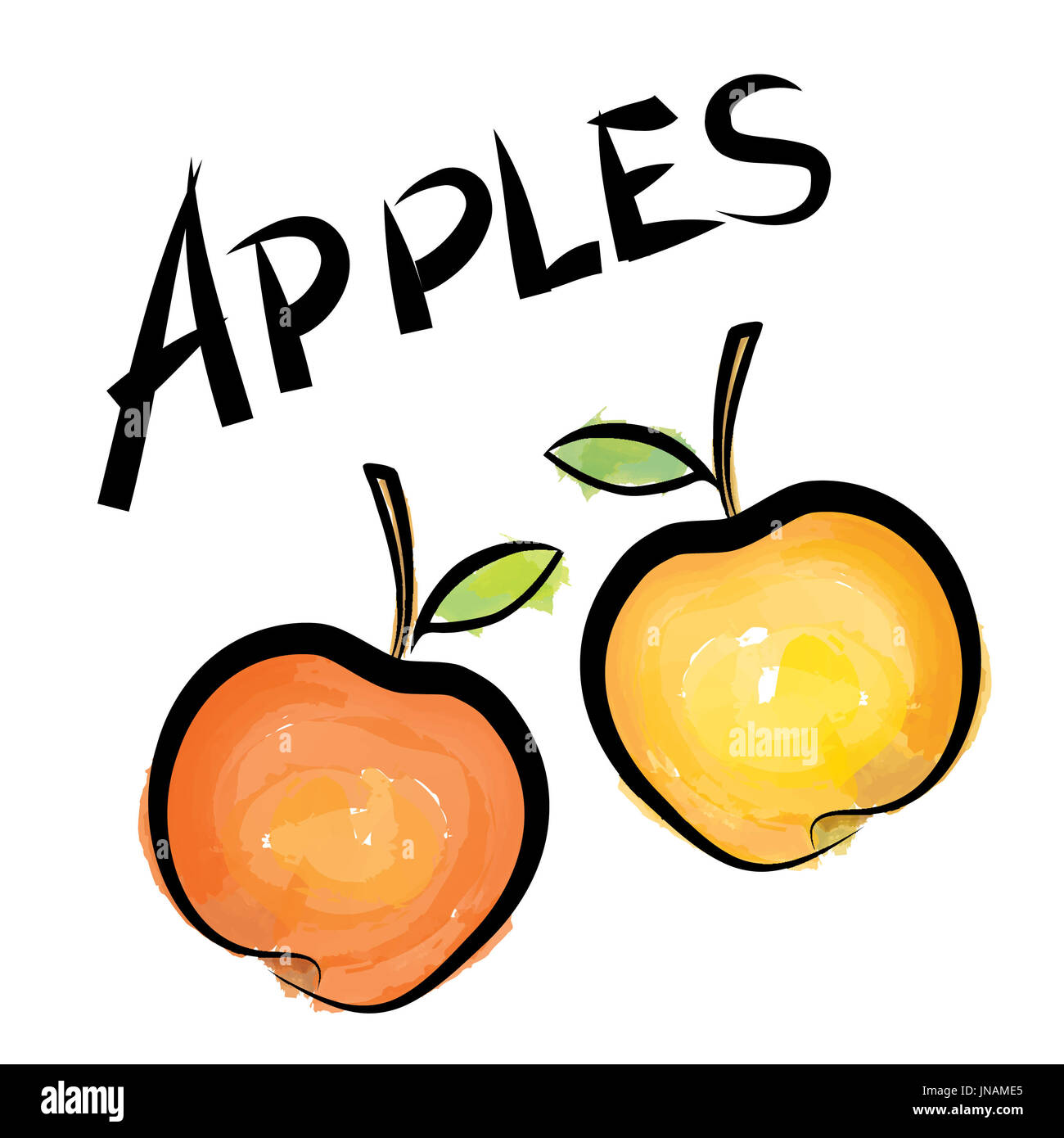 Apples isolated. Fruit apple label. Hand drawn watercolor set. vector ...