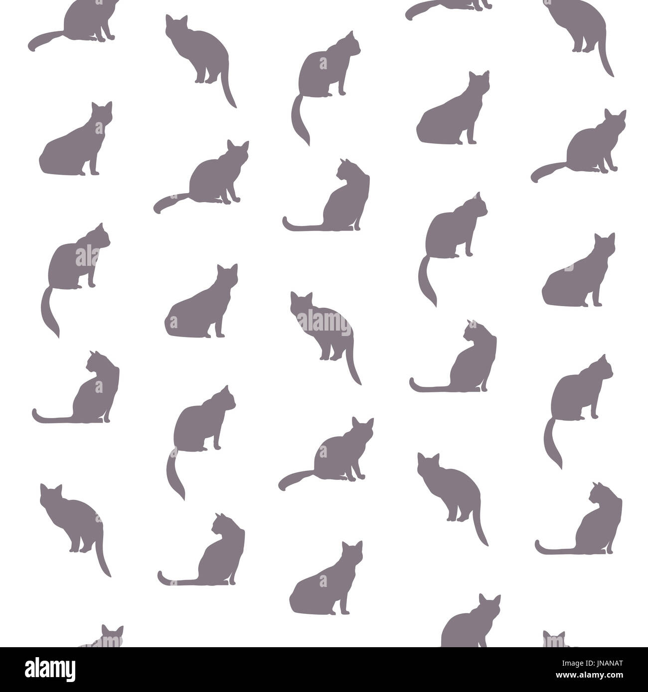 Cat seamless pattern. Pets vector background Stock Photo - Alamy