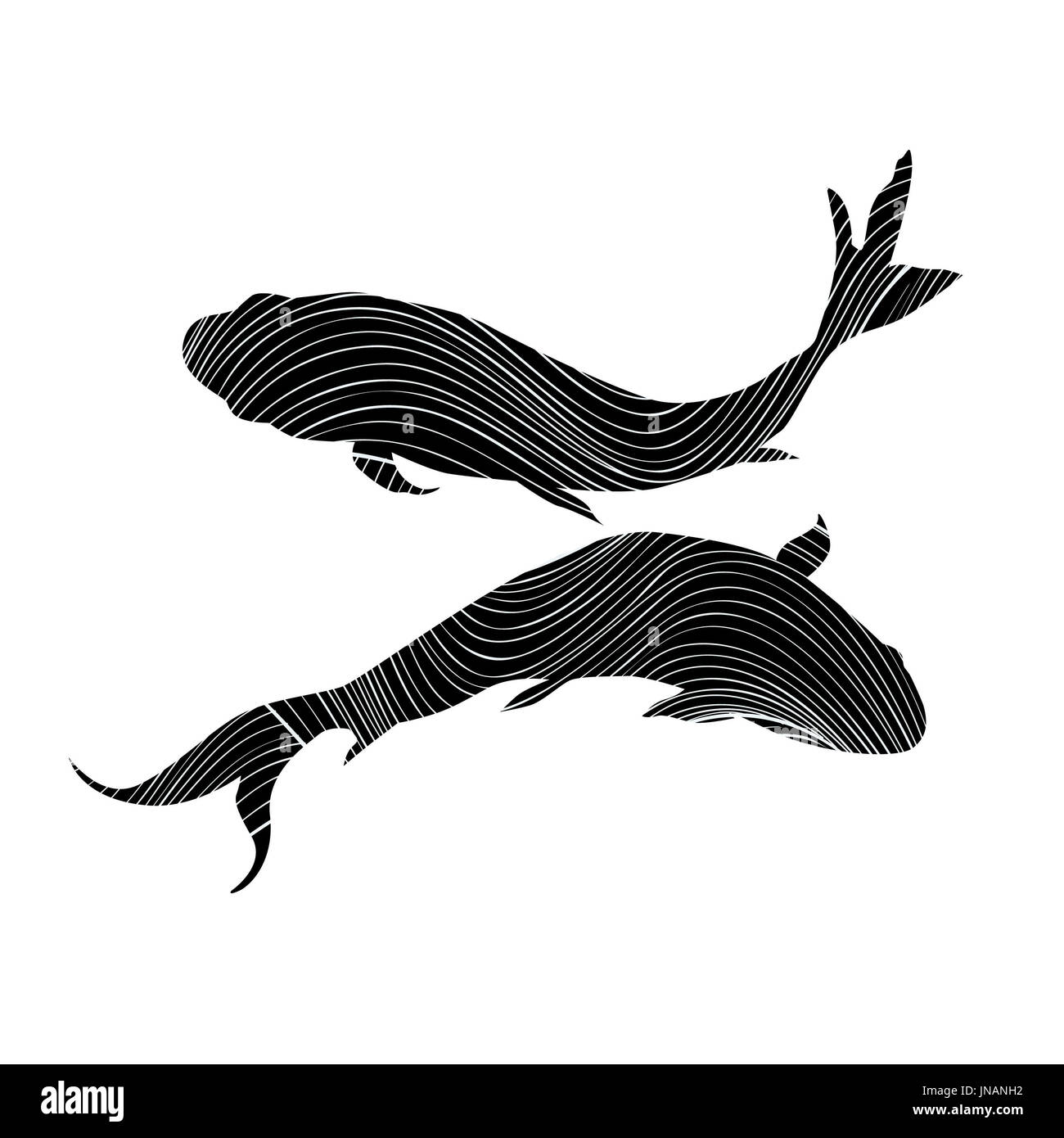 Pisces Fish Wallpaper