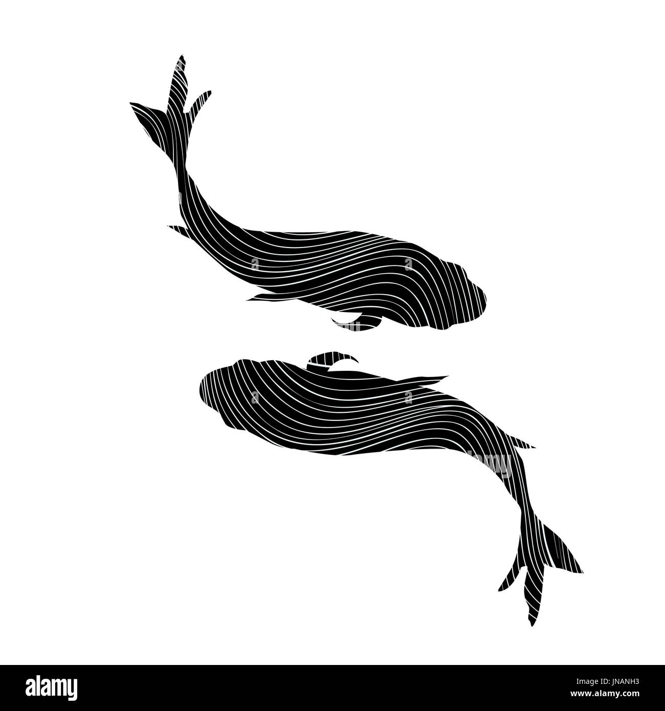 Pisces Zodiac sign on white background. Fish swimming silhouette Stock ...