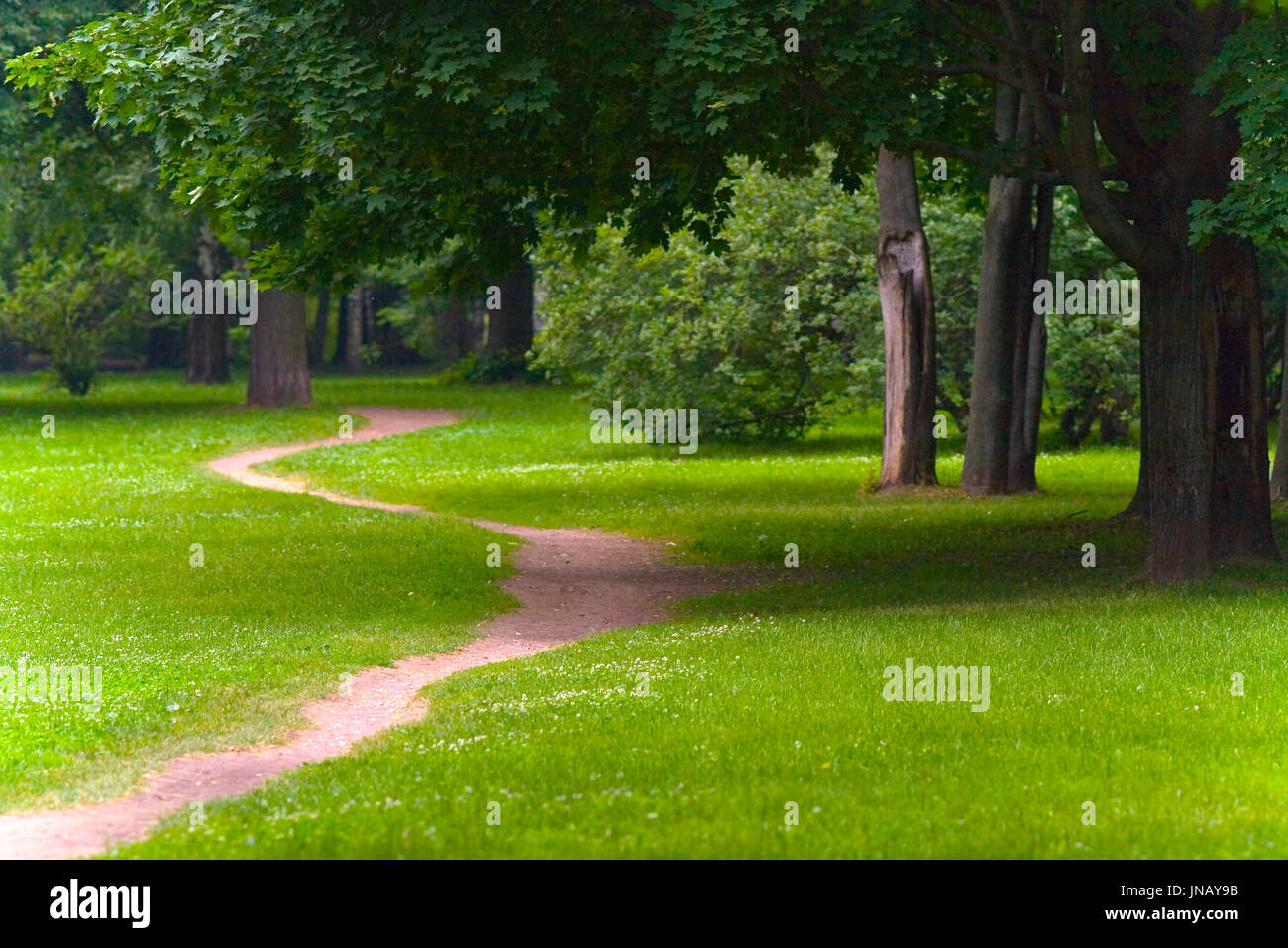 Horizontal landscape. A picturesque path in the park of the middle zone ...