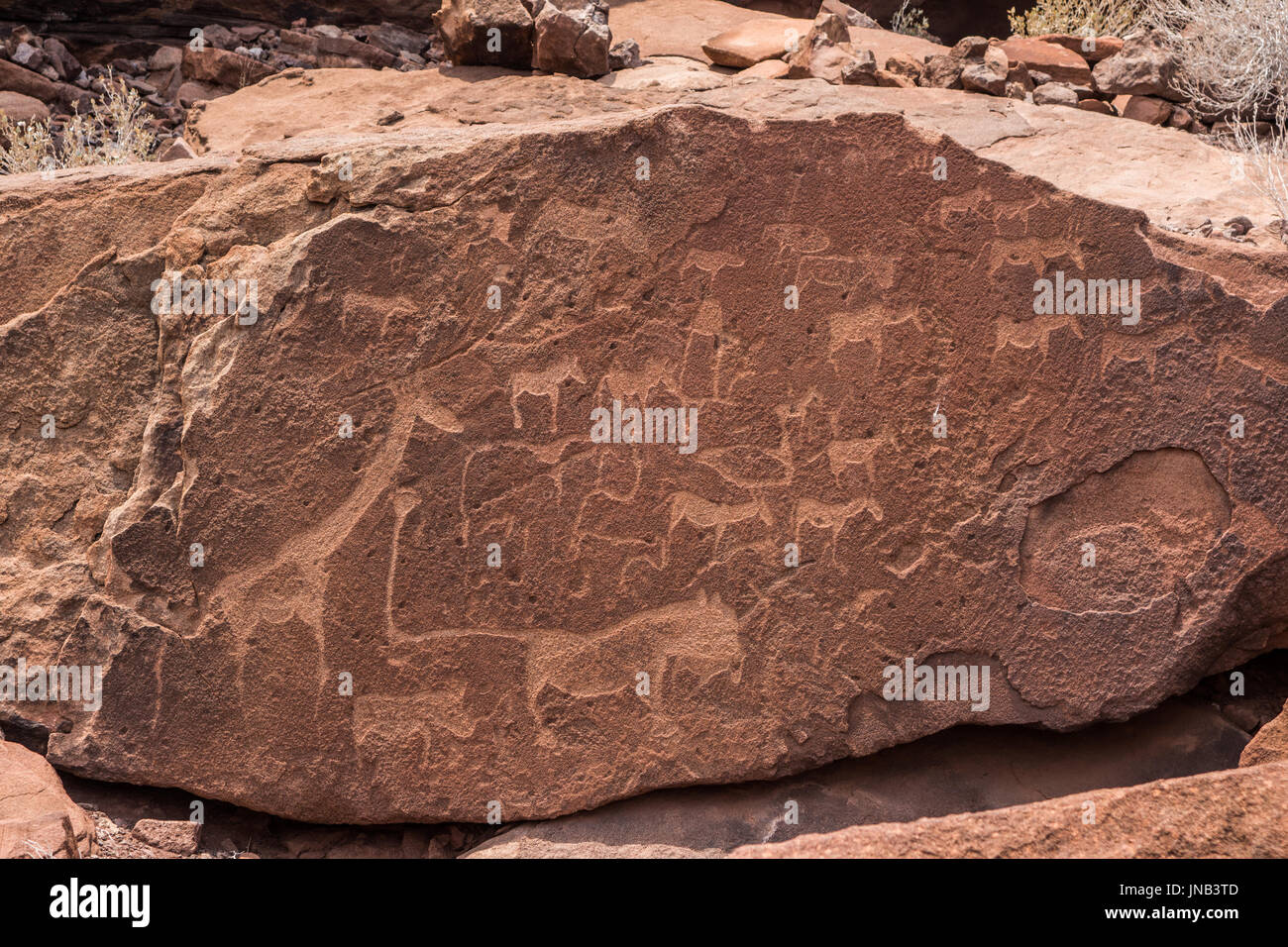 Sandstone engravings in a stone at Twyfelfontein, Namibia Stock Photo ...