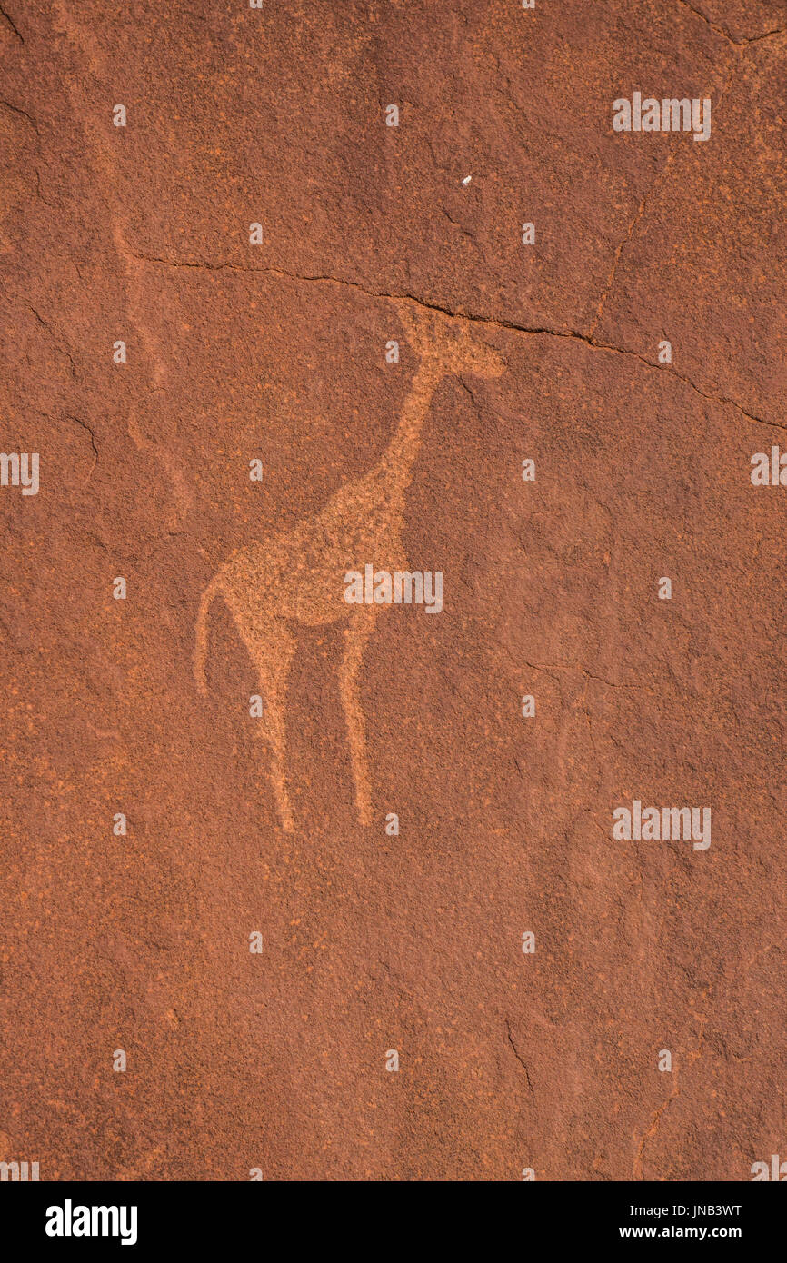 Sandstone engravings in a stone at Twyfelfontein, Namibia Stock Photo ...