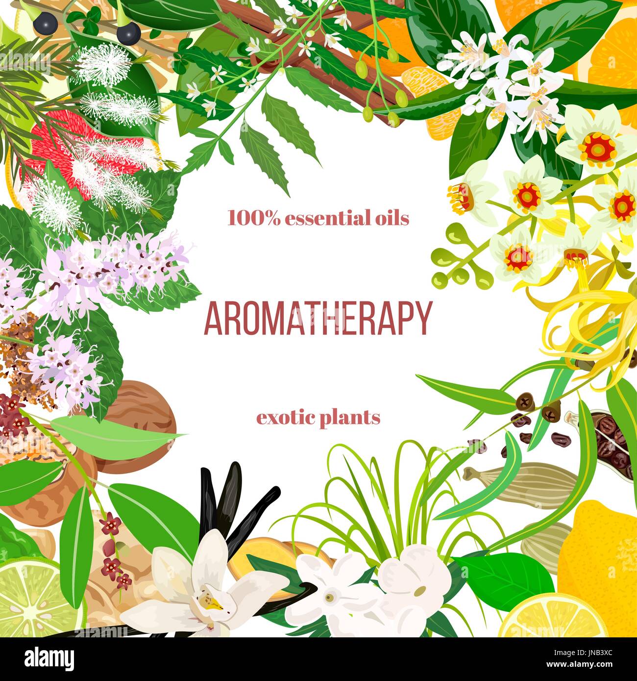 Natural citrus essential oil Stock Vector Images - Alamy