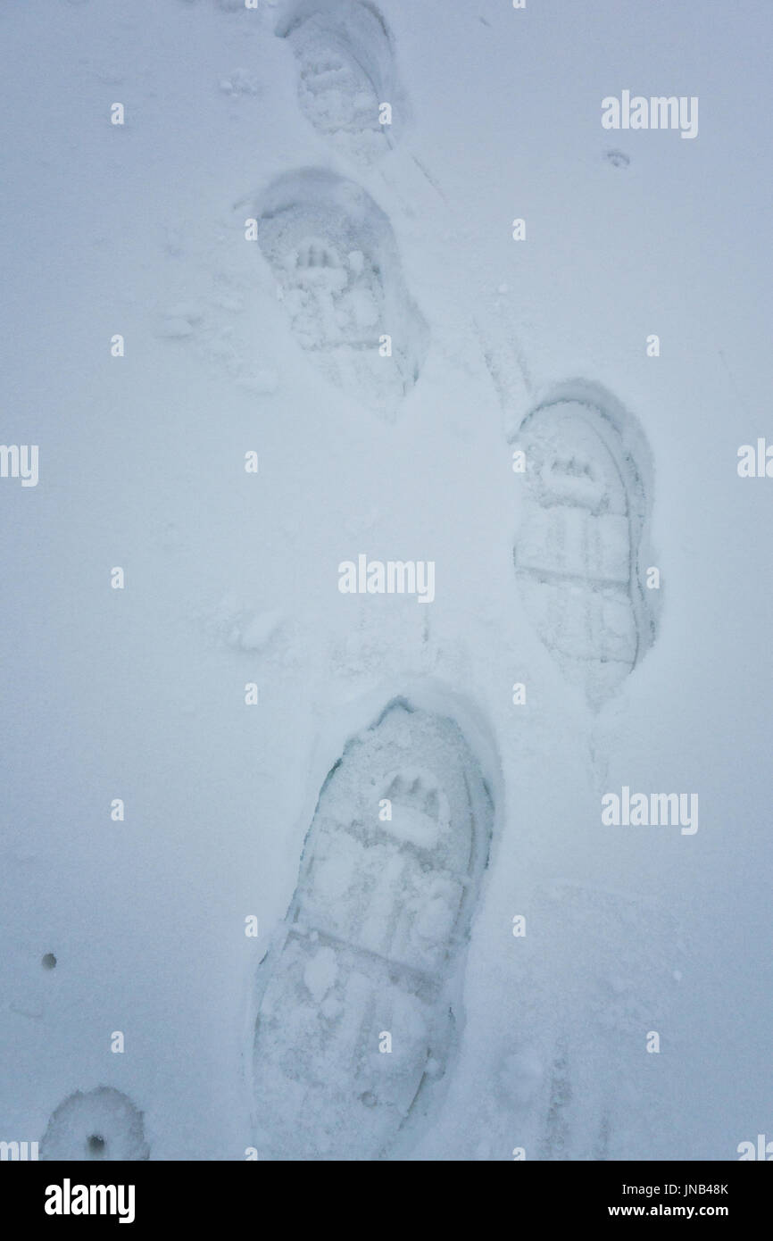 Rackets footprint view from the top in powder snow Stock Photo - Alamy