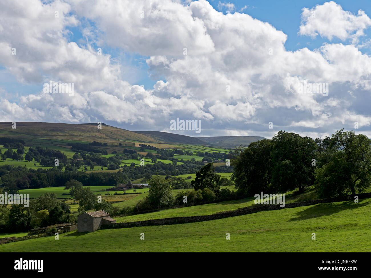 Coverdale yorkshire hi-res stock photography and images - Alamy