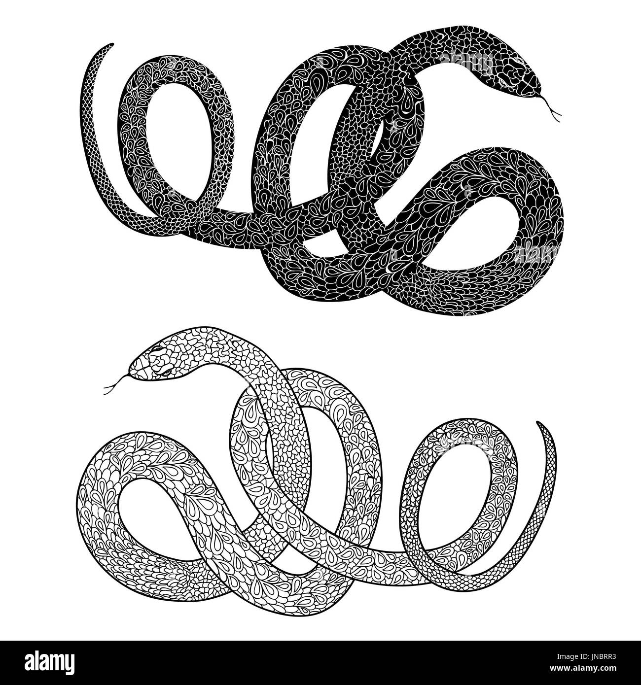 Snake set. Engraved hand drawn vector illustraction of ornamental ...