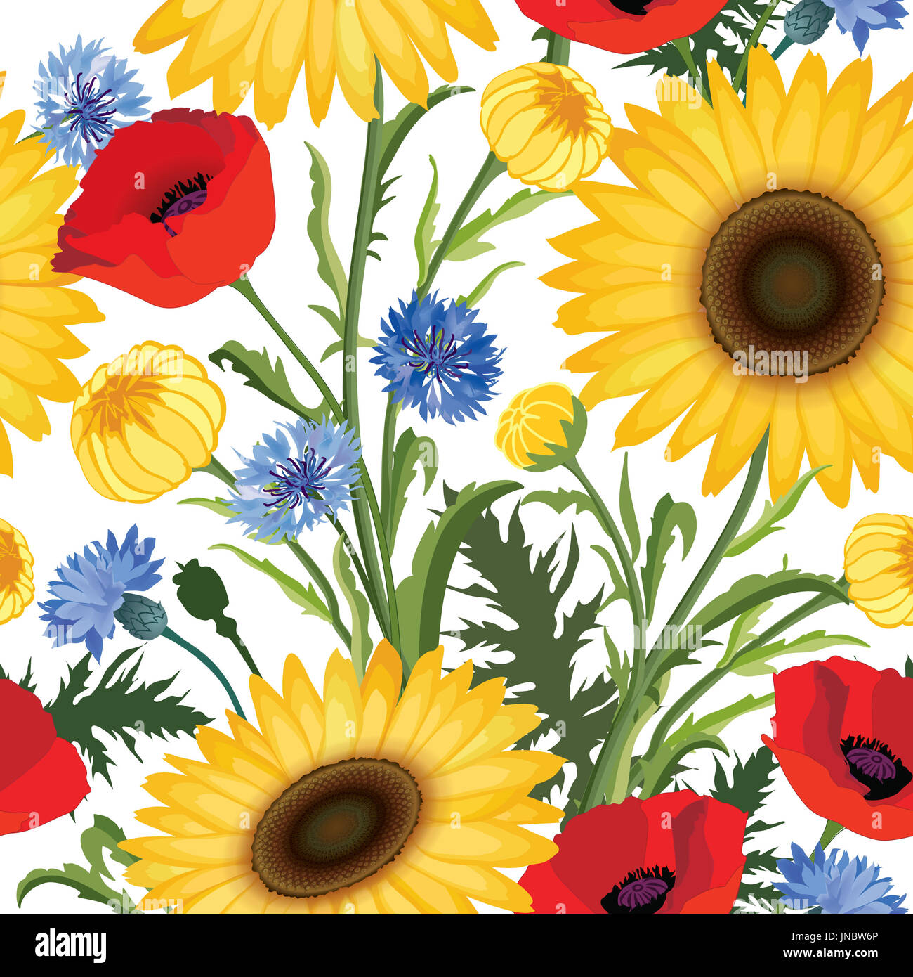 Floral seamless pattern. Flower poppy, sunflower, cornflower weadow ...