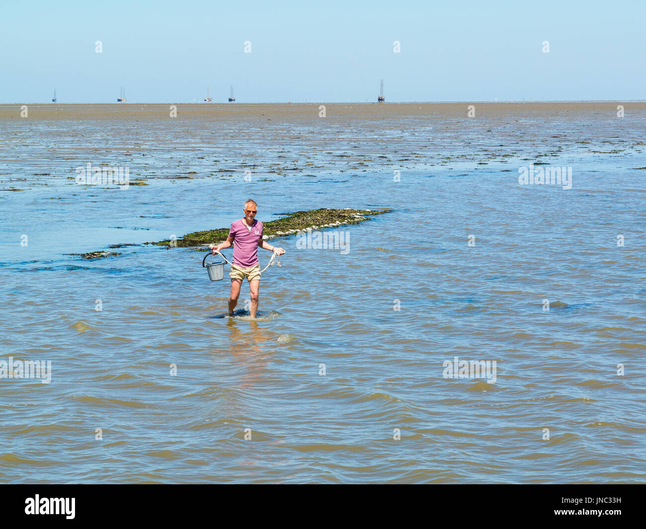 Senior man wading in shallow water at low tide with bucket of collected ...