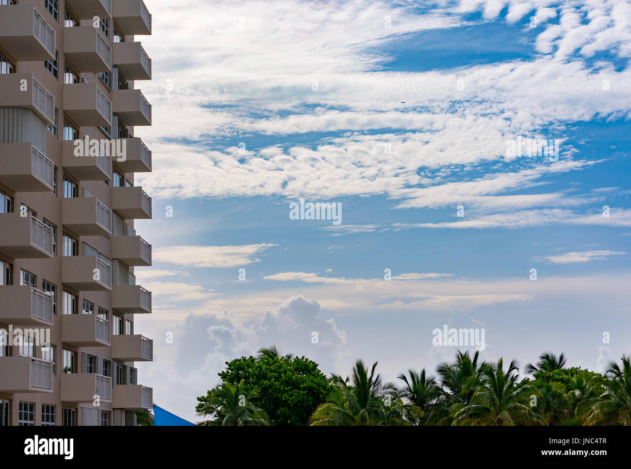 building by a Florida beach with a view of the ocean, tree tops and ...
