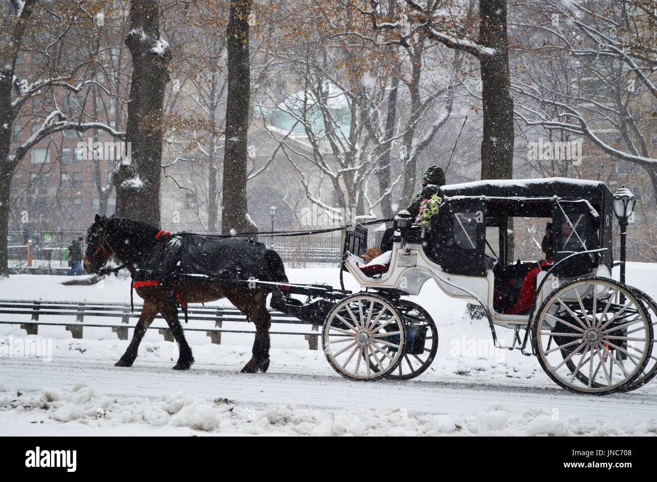 Ice Wagon Horse High Resolution Stock Photography and Images - Alamy