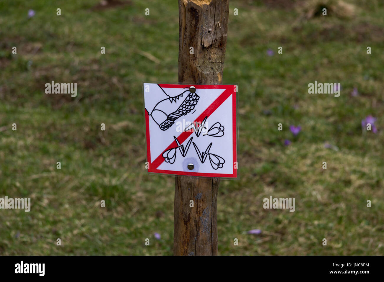 Stomping hi-res stock photography and images - Alamy