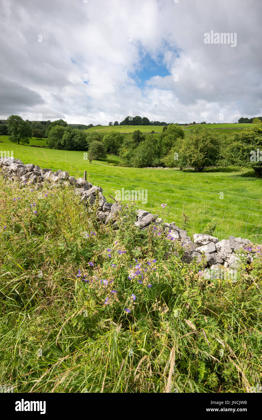 Summer countryside scene hi-res stock photography and images - Alamy