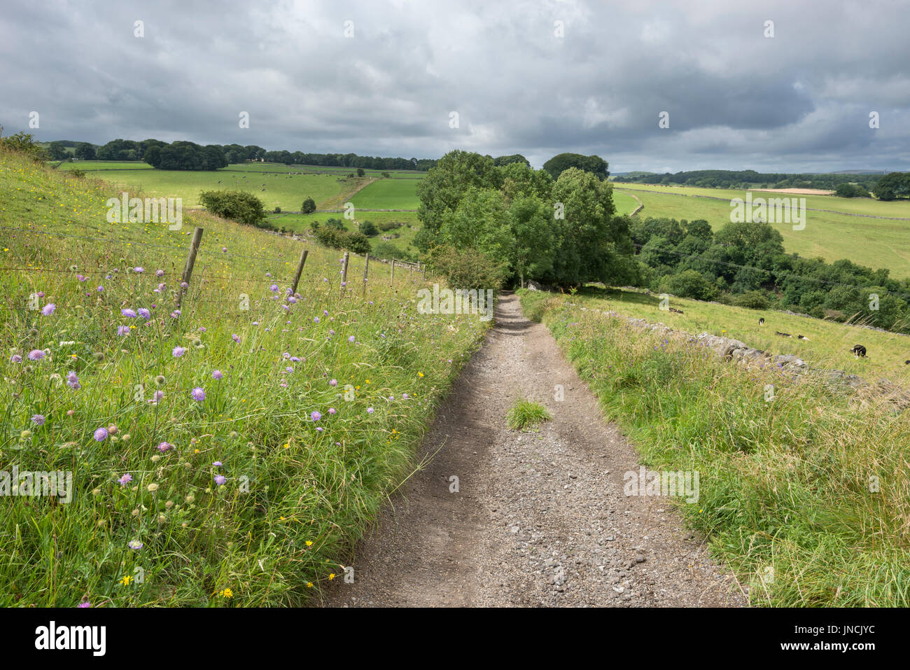 English country lane in the Peak District, Derbyshire, England Stock ...