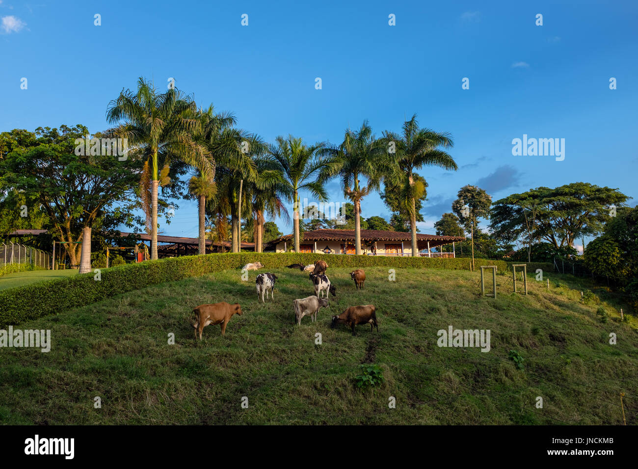 Ranch countryside hi-res stock photography and images - Alamy