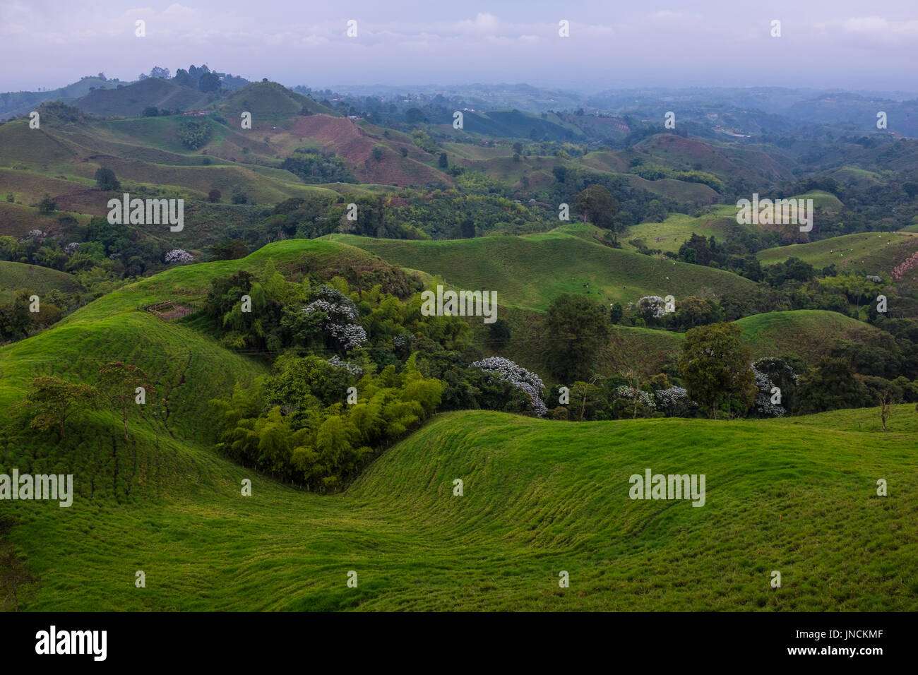 Wavy hills hi-res stock photography and images - Alamy