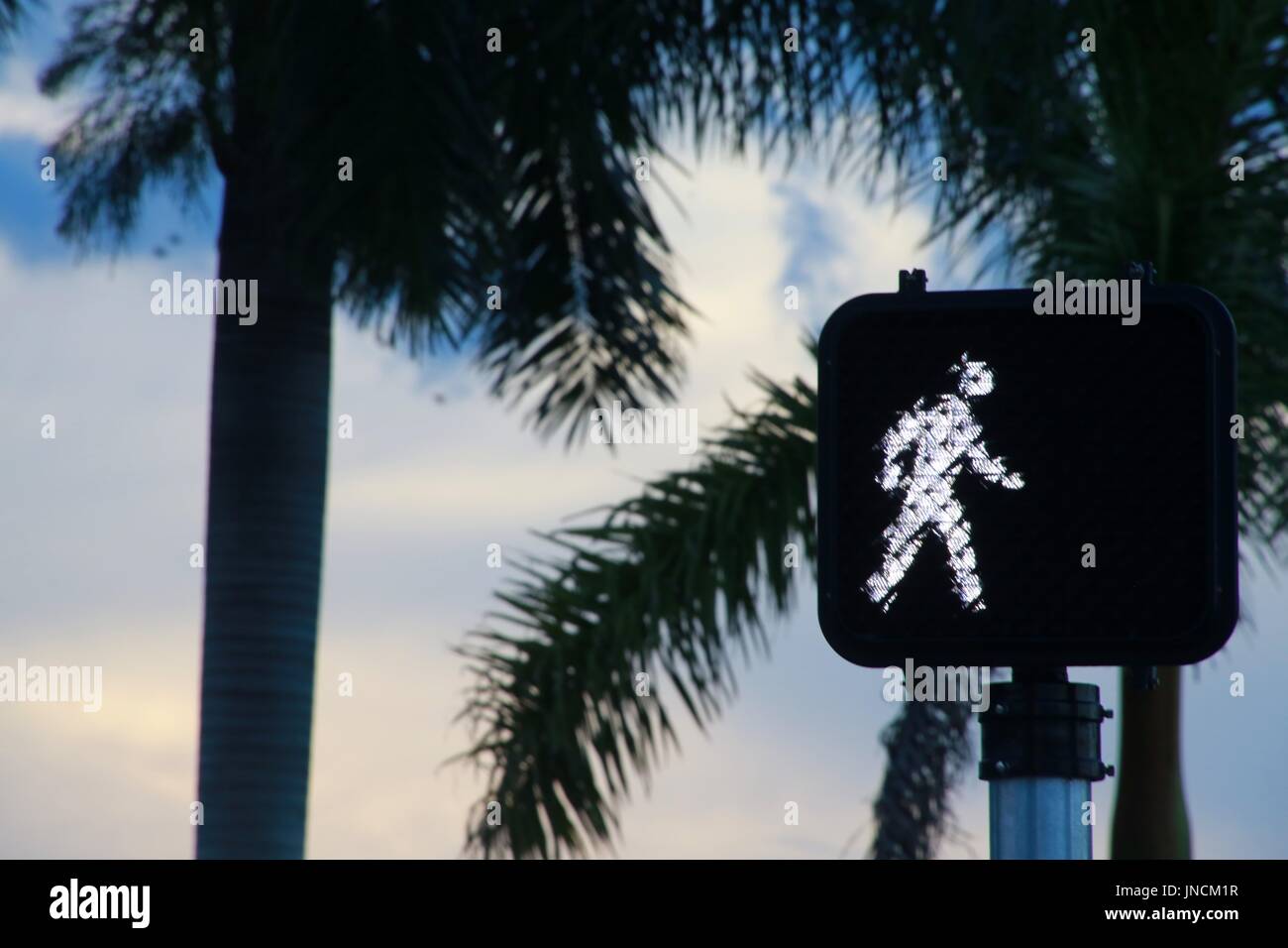 White Illuminated Walk Pedestrian Crossing Signal Symbol at ...