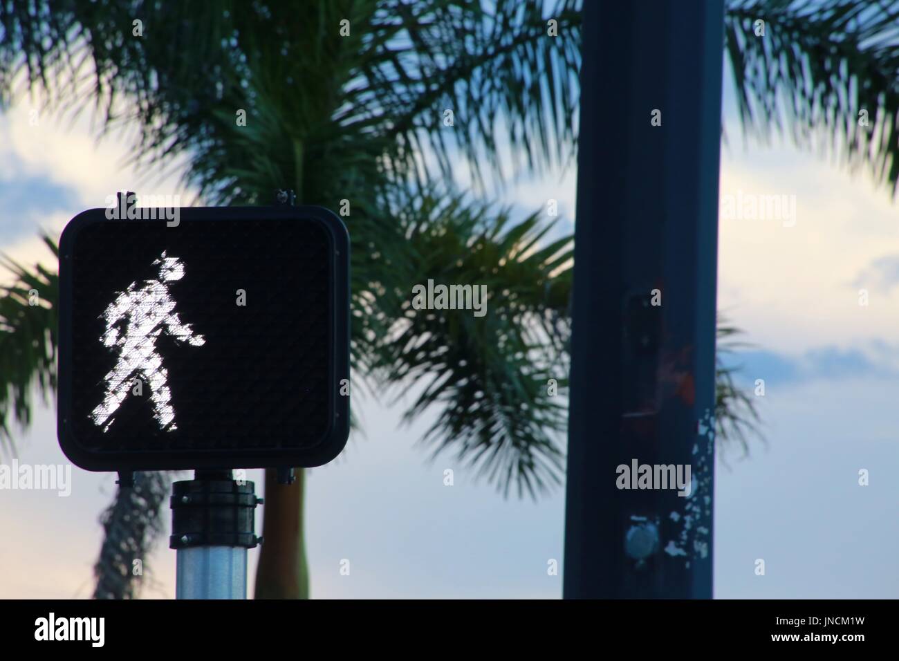 White Illuminated Walk Pedestrian Crossing Signal Symbol at ...