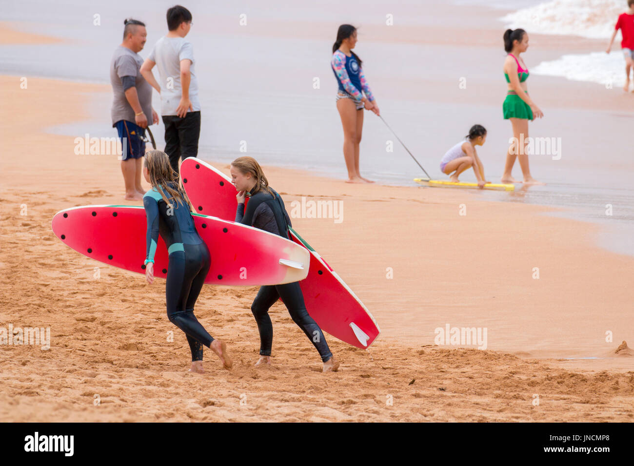 A female surfer carrying her surfboard hi-res stock photography and ...