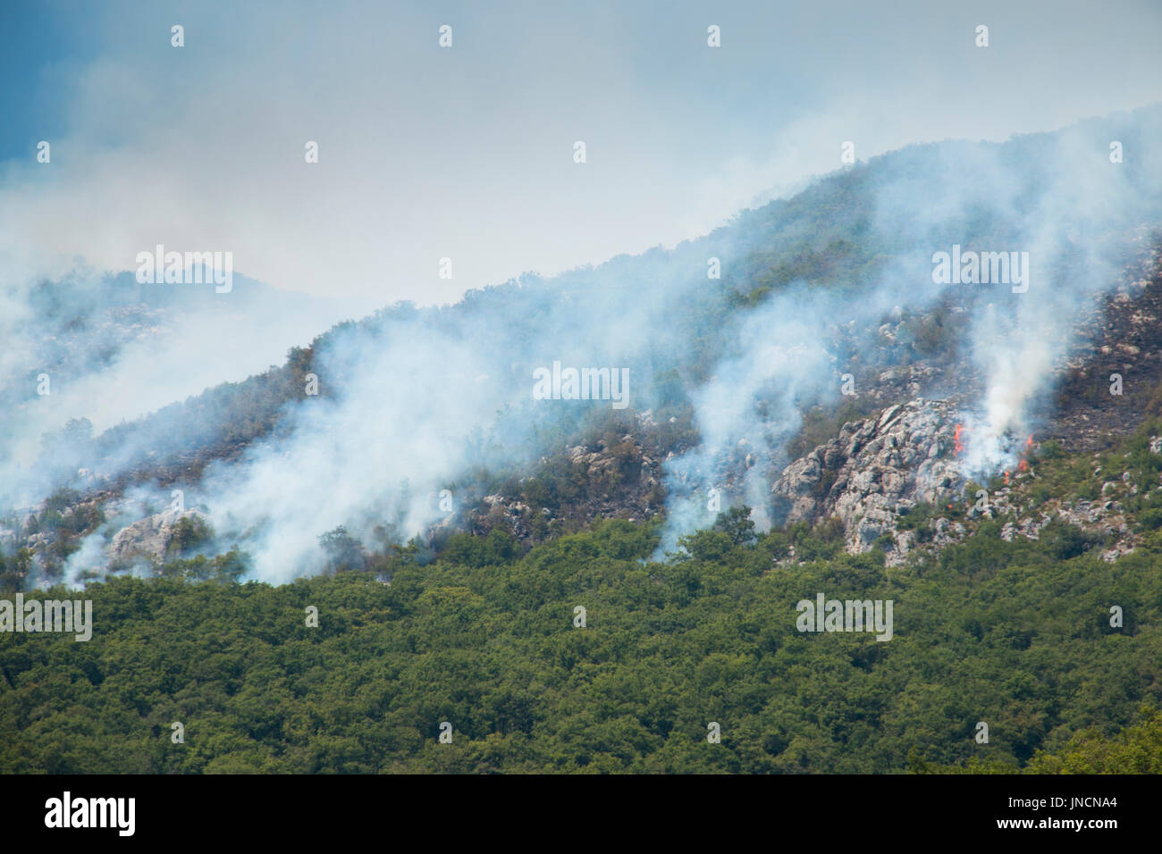 Huge forest fires on the mountains close to Herceg Novi and the bay of ...