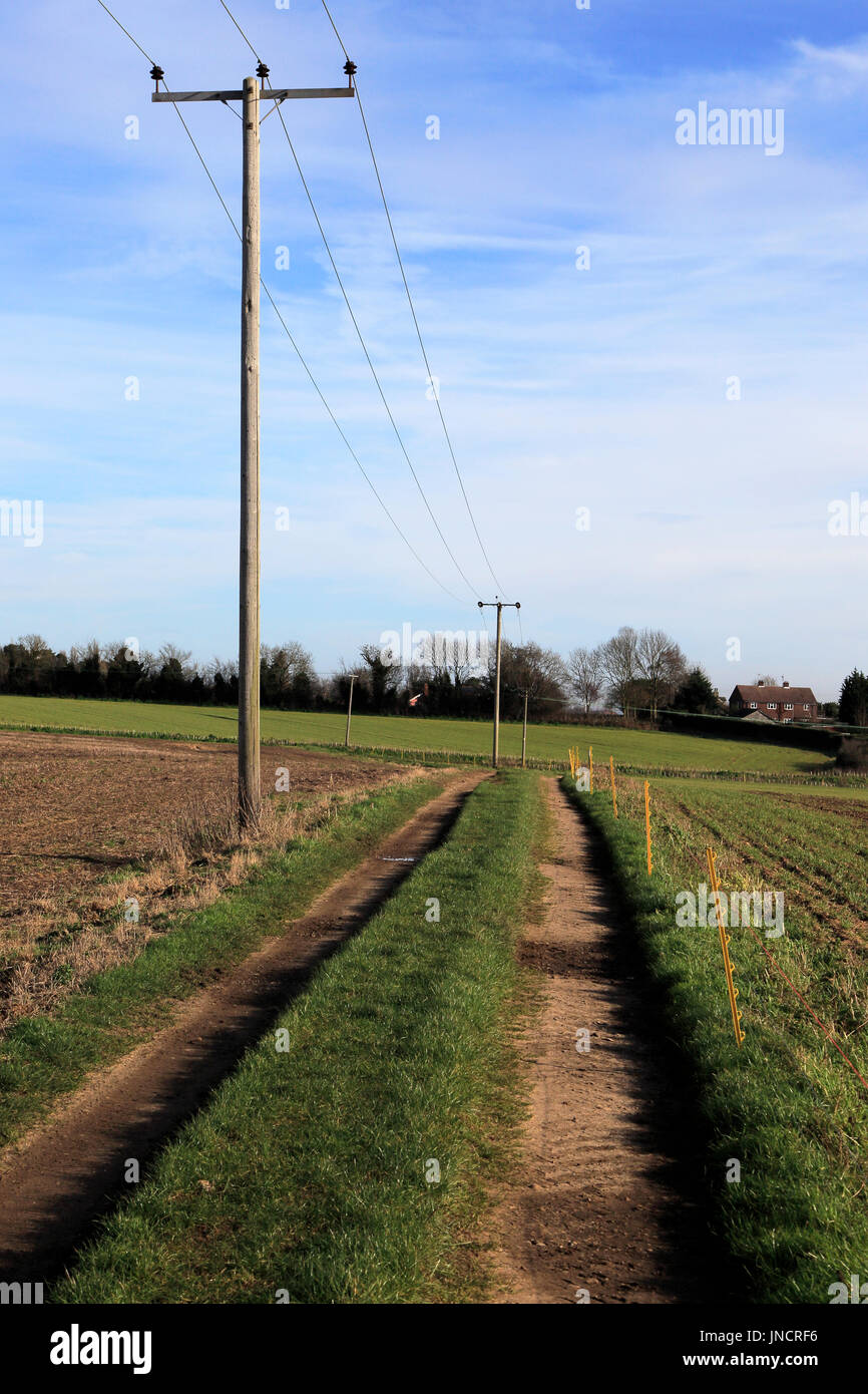 Telegraph Poles Uk Stock Photos & Telegraph Poles Uk Stock Images - Alamy