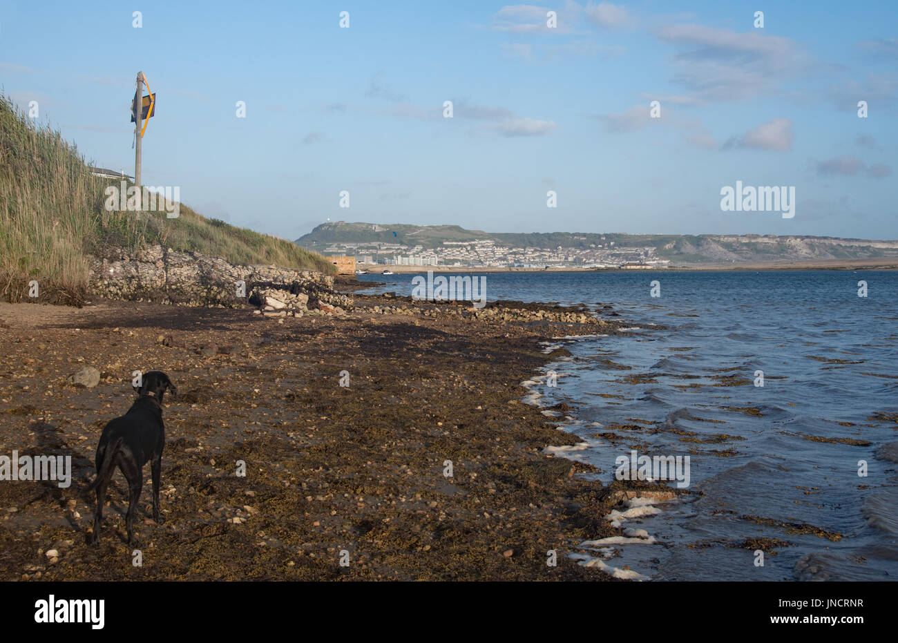 Fleet Lagoon, Chesil Beach, Weymouth, Dorset Stock Photo - Alamy